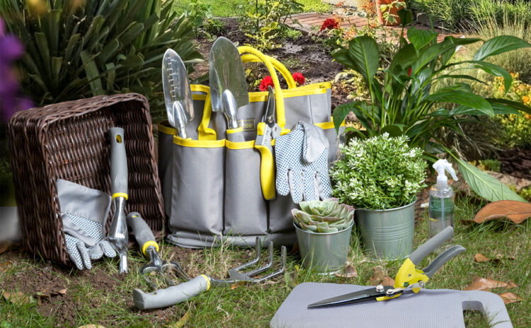 Lifestyle: Top Garden Tasks to Tackle This February in the UK - Minerva ...